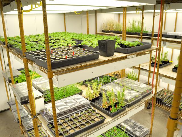 Field Safety - Office of Research